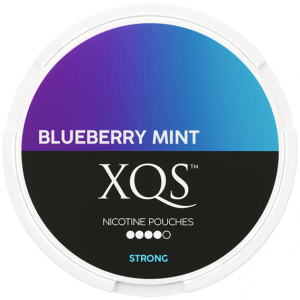 Best XQS Blueberry Mint Strong €4.99 | Snusifer